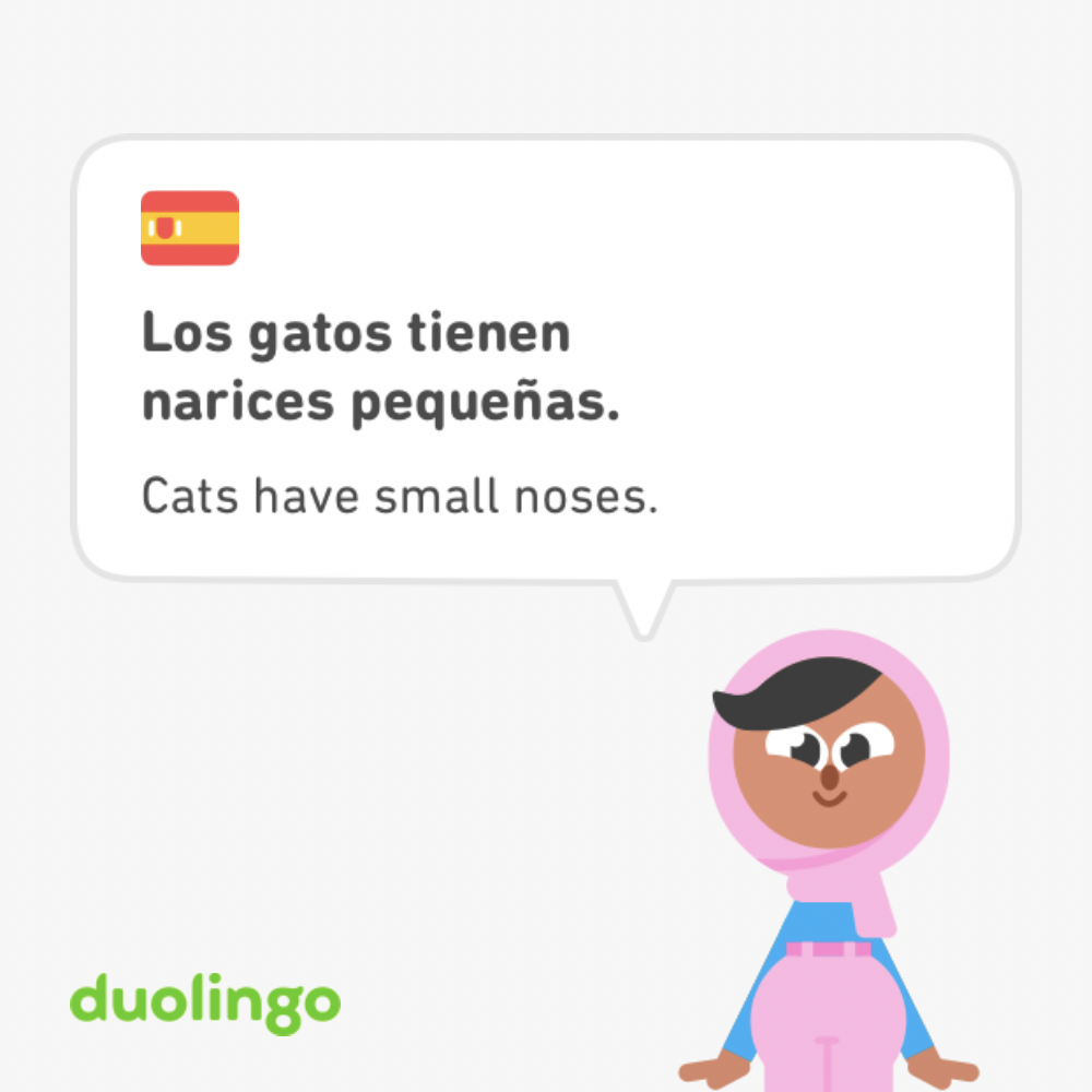 More Duolingo Cats – Mighty Kool Kats