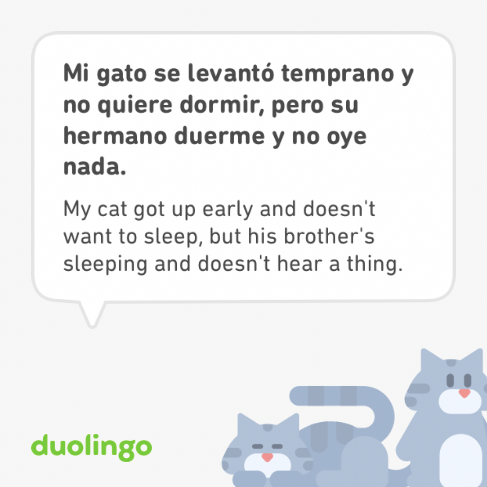 More Duolingo Cats – Mighty Kool Kats
